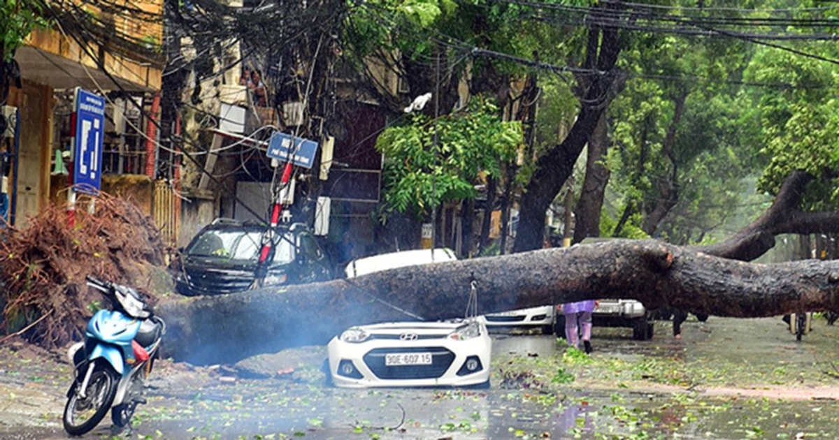 Xe bị hỏng vì ngập nước, cây đổ có được đền bù không?