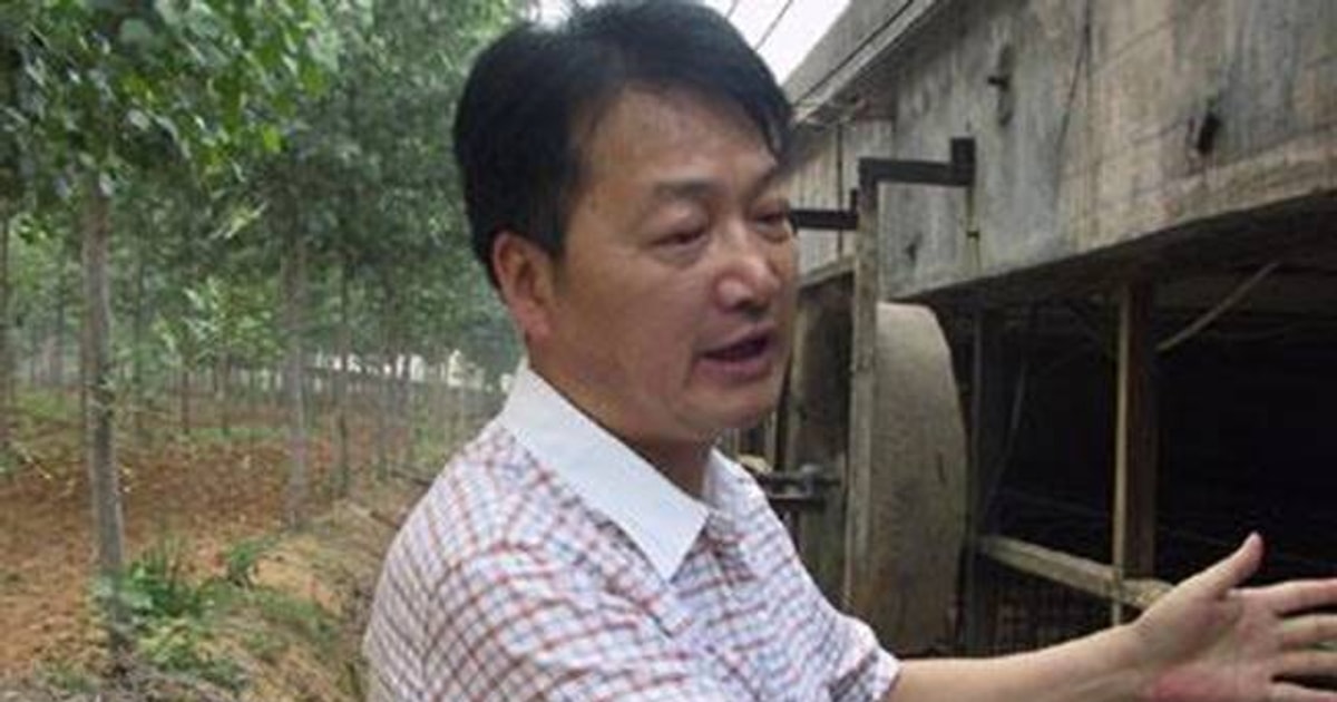 Câu chuyện khởi nghiệp của tỷ phú Qin Yinglin