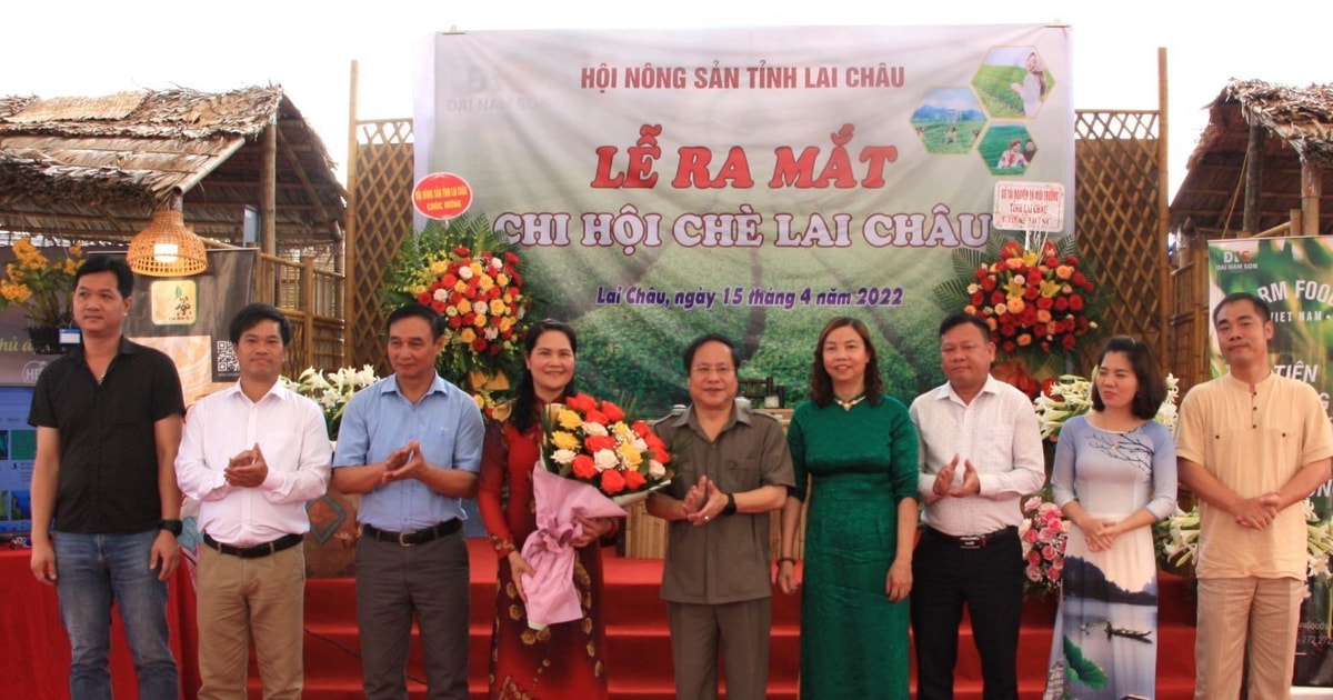Chính thức ra mắt Chi hội Chè Lai Châu