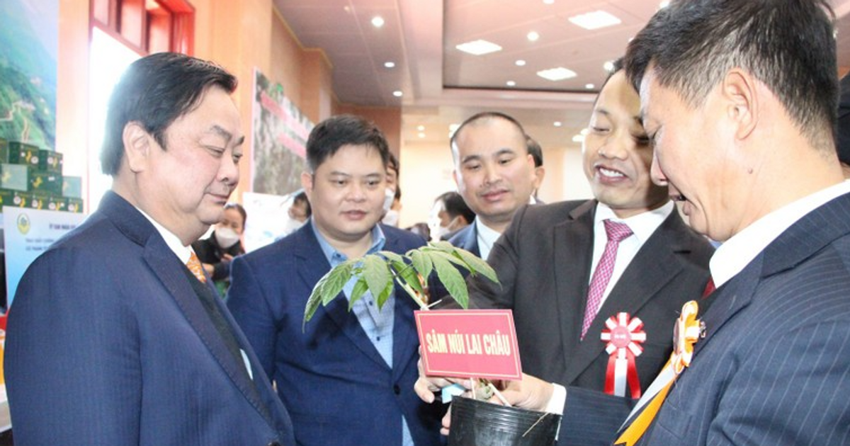10-20/10: Hội chợ Sâm Lai Châu