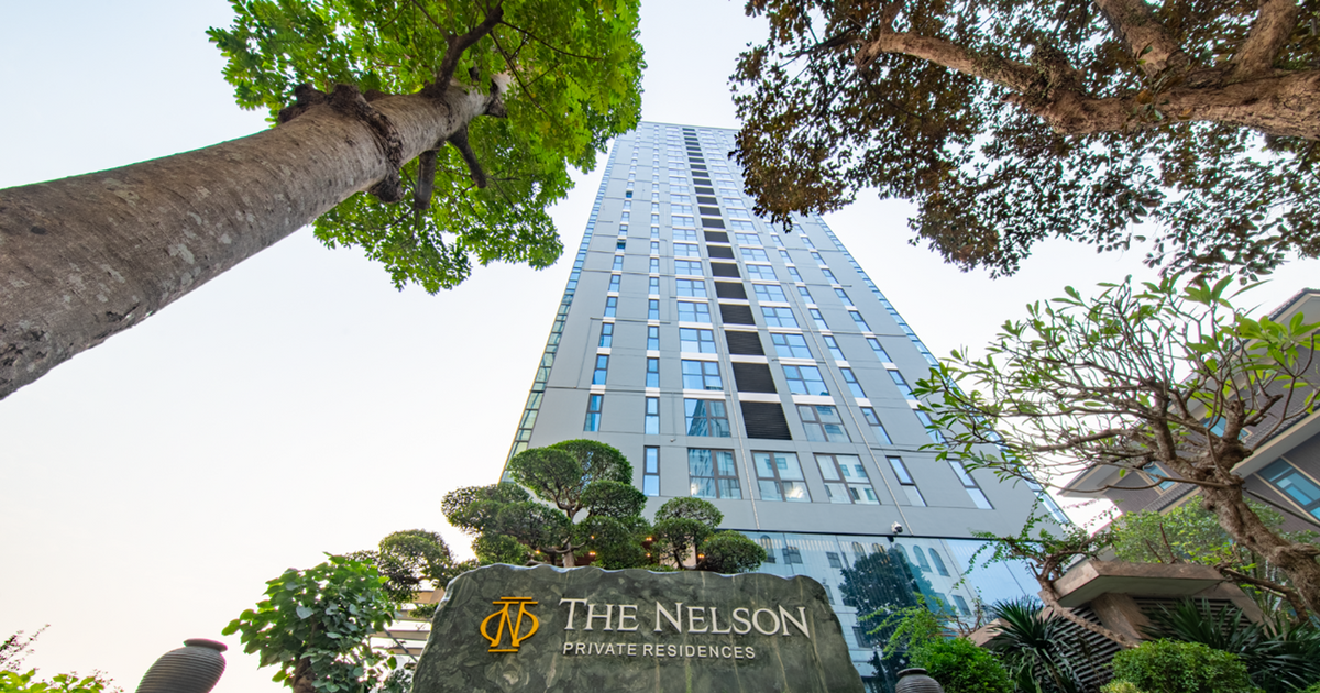 Những lực đẩy hạ tầng giúp The Nelson tăng trưởng không ngừng