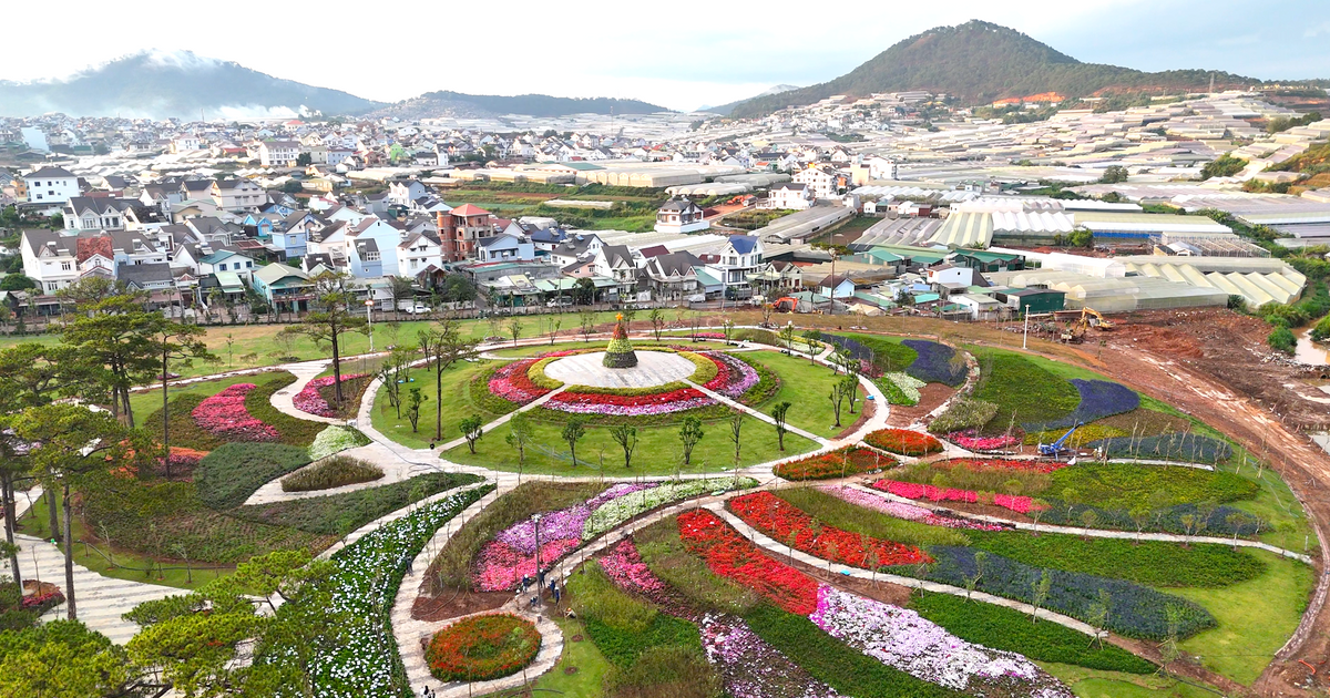 Delight Park: Thiên đường âm thanh, ánh sáng giữa lòng Đà Lạt
